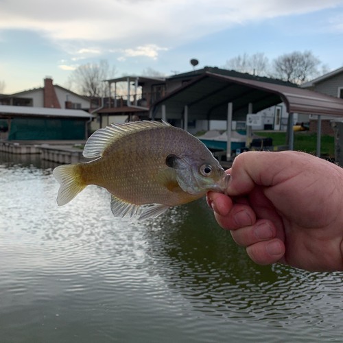 Stream Crash Davis Outdoors EP 355 May 18th 2024 by CrashDavis | Listen ...