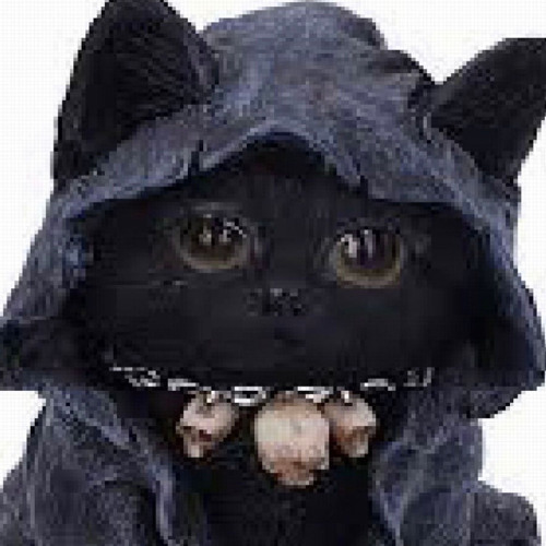 Stream *͙* ⃝∗⁎. GAT1T0_STYL3RZ .⁎∗ ⃝**͙ by HEXXO | Listen online for ...