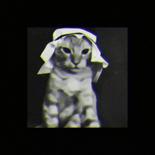 Stream Arabian Cat, But It's a phonk dnb by Cerds | Listen online for ...