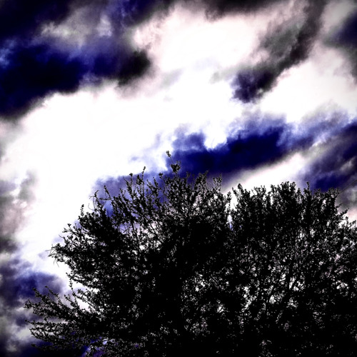 Stream All on me (2023) Lu x Drey Nasty by Lu | Listen online for free ...