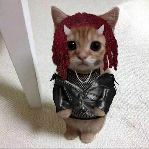 Stream Playboi Carti - Born Sinner (Phasewave Remaster) by 𝕳𝖆𝖗𝖗𝖞𝖘𝖔𝖋 ...