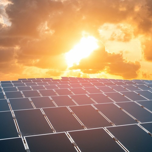 Stream Red Swallow by Drake Livingstone | Listen online for free on ...