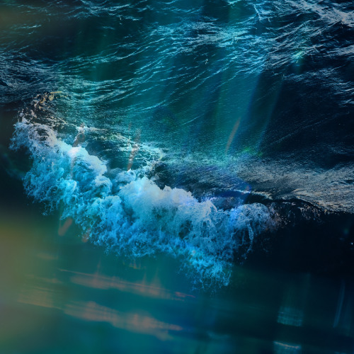 Stream Healing Waters (w/ The David Roy Collective & Matthew C ...