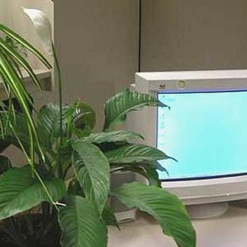 Stream 4 0 3 by KLNV (Archive) | Listen online for free on SoundCloud