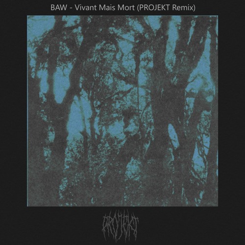 Stream BAW - Vivant Mais Mort (PROJEKT Remix) by PROJEKT | Listen ...