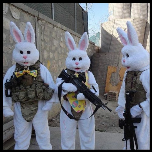 Stream Oasis Tunes Records | Listen to Jester's Privilege playlist ...