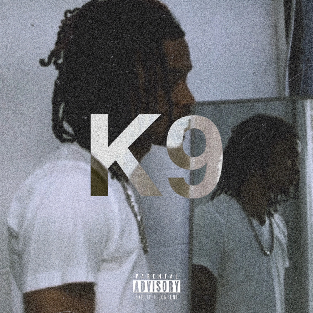 Stream 1300SAINT | Listen to K9 playlist online for free on SoundCloud