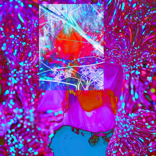 Stream What Is Even Real by Layne Gray | Listen online for free on ...