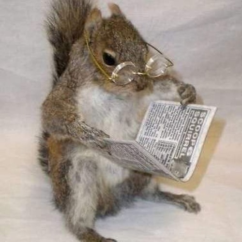 Stream #newclips w/ bryte, javi, and landon filmer by sentry | Listen ...