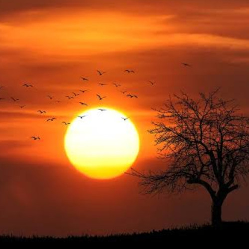 Stream Still Trap by LIRA | Listen online for free on SoundCloud