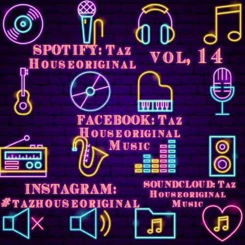 Stream Taz Houseoriginal - Vocal Vibes vol.14.mp3 by Taz Houseoriginal ...
