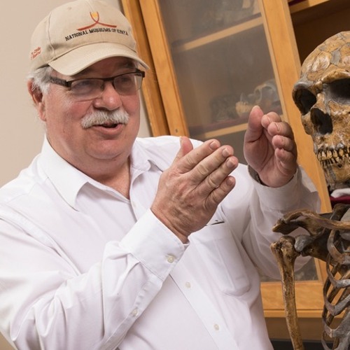 Stream episode SoS 117 - Remembering Dr. Gary James with Drs. Michael Little and Dan Brown by ...