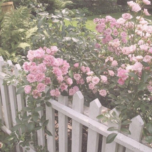 Stream Mercy Necromancy - Vows by ᕴкαтαραᕵ | Listen online for free on ...