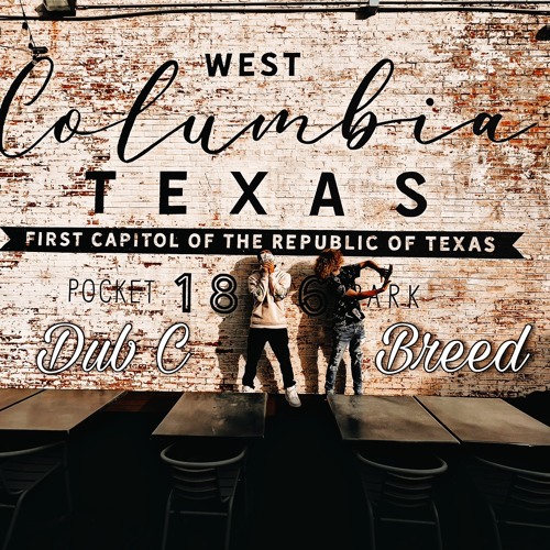 Stream DUB C BREED by Xzavyerg | Listen online for free on SoundCloud