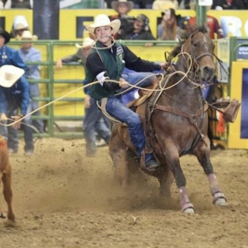 Stream [Watch] NFR Live Stream 2023 National Finals Rodeo Free by ...