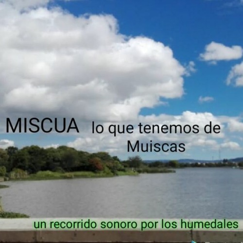 Stream MISCUA lo que tenemos de Muiscas. Un recorrido por los humedales ...