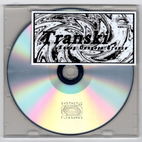 Stream Synthetic Pleasures | Listen to SYN023: TRANSKI 'Envoy Dungeon ...