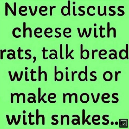 Stream Cynthia Renee Lovett | Listen to family playlist online for free ...