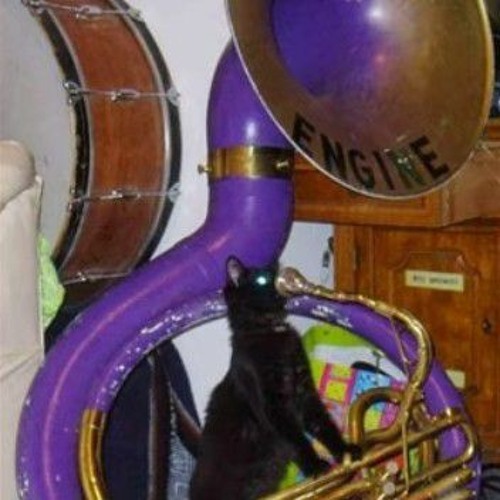 Stream tuba cat boss theme by Mirage Team | Listen online for free on ...