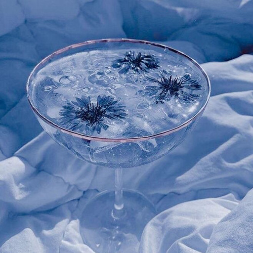 Stream wildlife - choniki - extended by - ꪖꫀ𝘴ꪮ - (卂乇丂ㄖ) #434640 ...