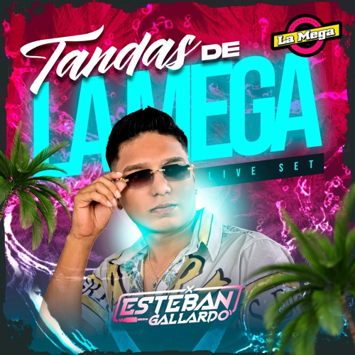 Stream ESPECIAL TANDAS DE LA MEGA - DJ ESTEBAN GALLARDO 2024 by Dj ...