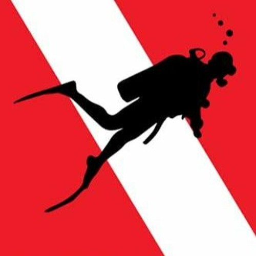 Stream Ebook PDF Ultimate Dive Log Book: Scuba Diving Log Book / 100 Dive Logbook / Certified ...