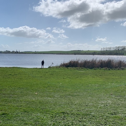 Stream Lake Ngaroto | -37.958834 | 175.295311 | Kent Macpherson ...