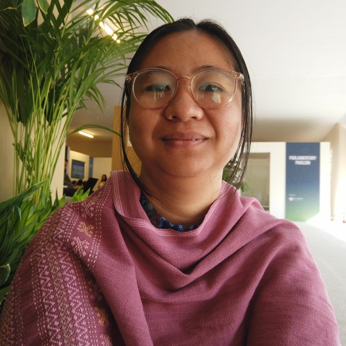 Stream COP28 - The Difference Between Indigenous Peoples And Local ... Stream COP28 - The Difference Between Indigenous Peoples And Local ...