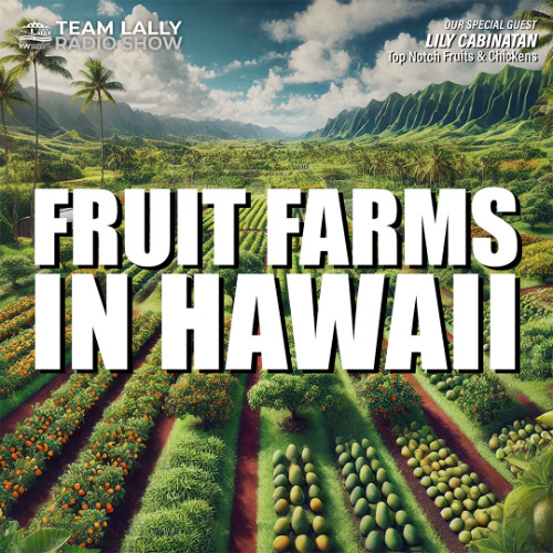 Stream episode The Rewards & Challenges of Farming with Lily Cabinatan ...