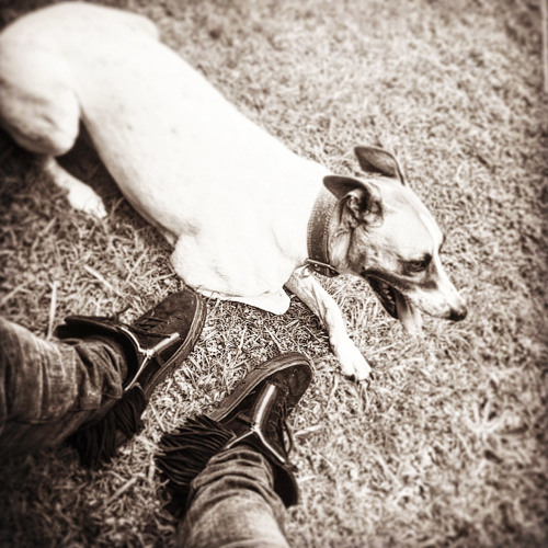 Stream I hung my head by jazzzblaster | Listen online for free on ...