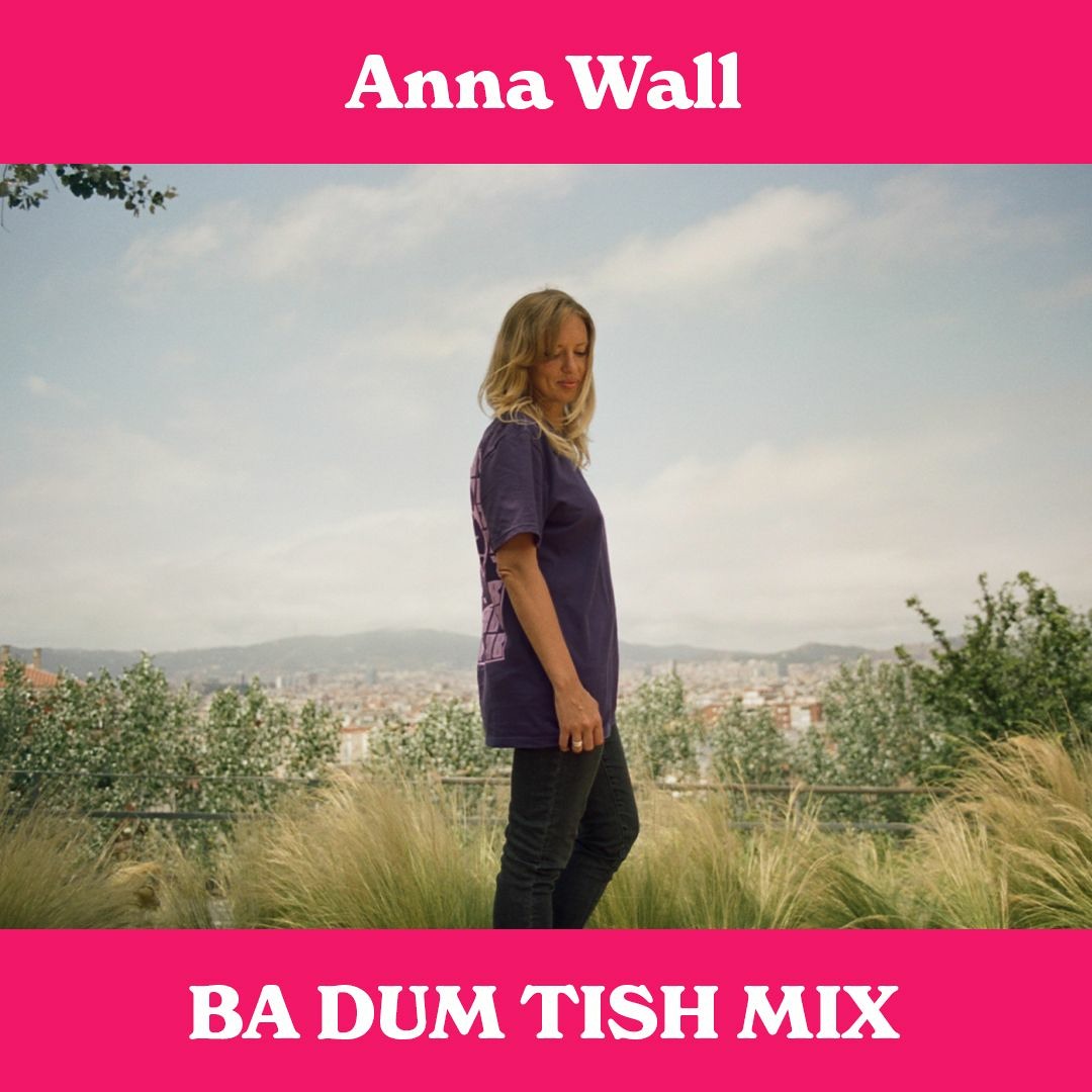 Stream Anna Wall - Ba Dum Tish Mix by Ba Dum Tish | Listen online for ...