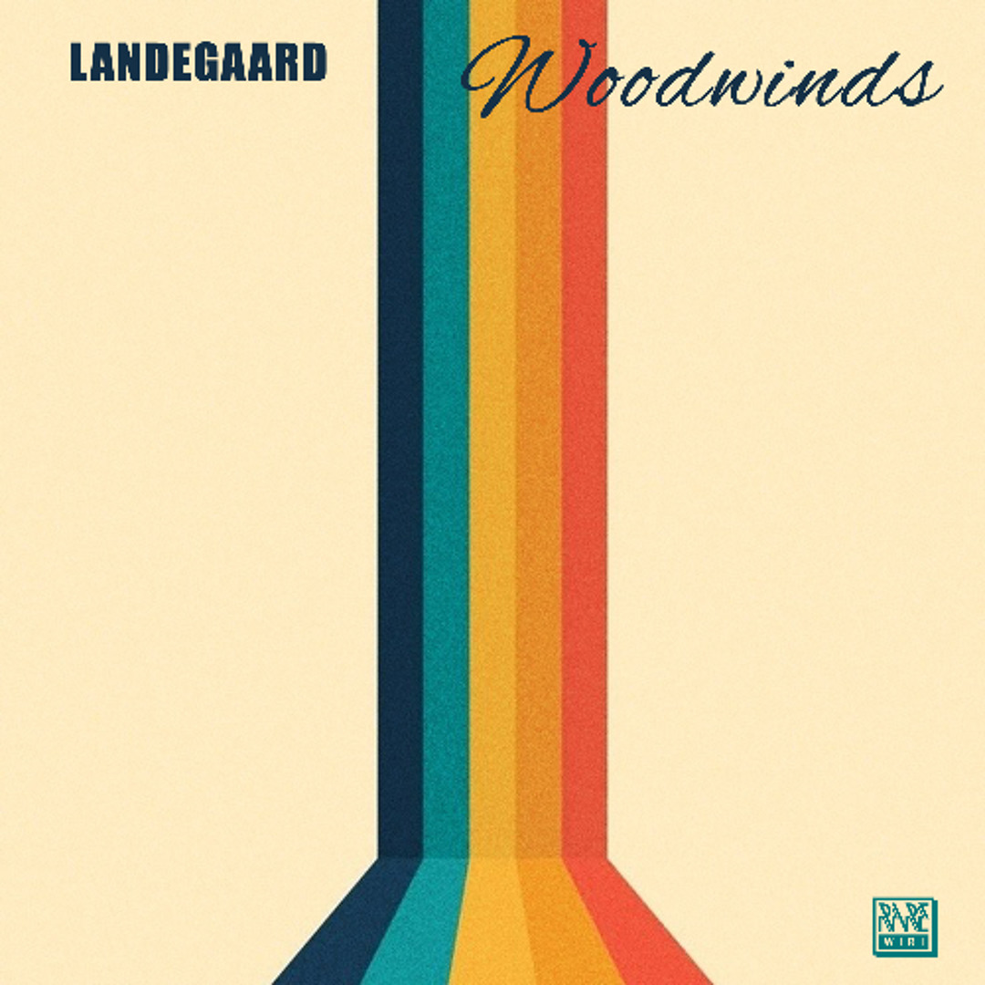 Stream Landegaard - Did This Happen Before (2025 Re-Edit) by Rare Wiri Records | Listen online ...