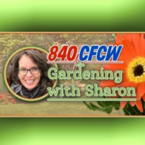 Stream Gardening with Sharon - June 19 - Great Pollinator Gardens by ...