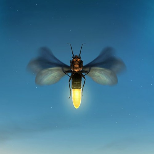 Stream March Of The Fireflies Part 1 by Khayos_Echo | Listen online for ...