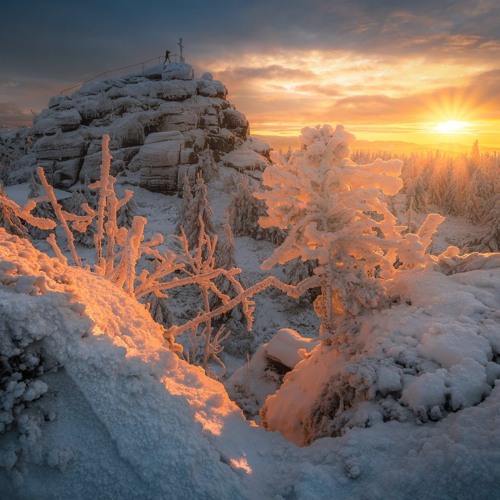 Stream XEIDEN - Pablo Escobar by Xeiden | Listen online for free on ...