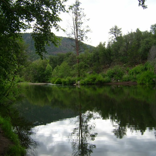 Stream I'd Do It Again by Tom Martel | Listen online for free on SoundCloud