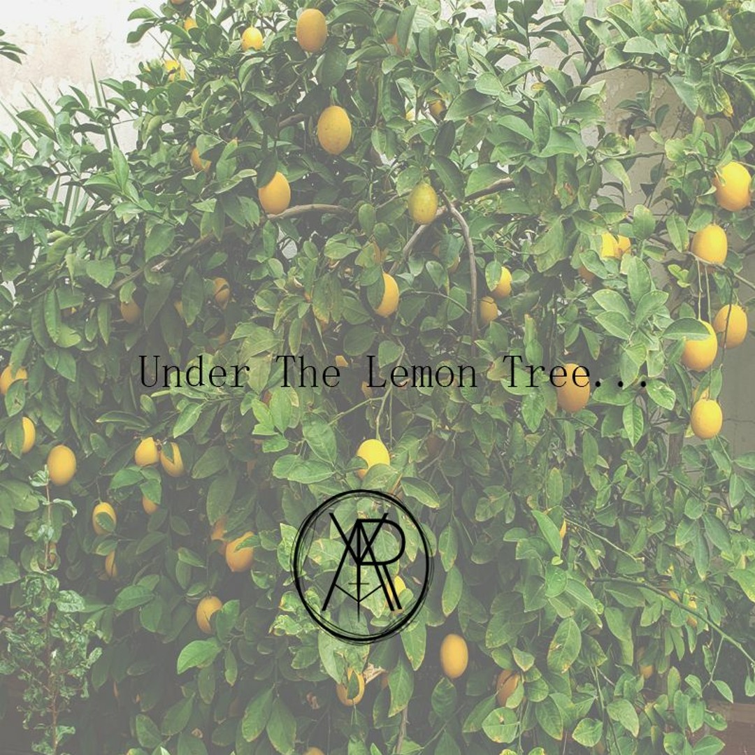 Stream Yara.M - Under The Lemon Tree by Yara. M | Listen online for ...
