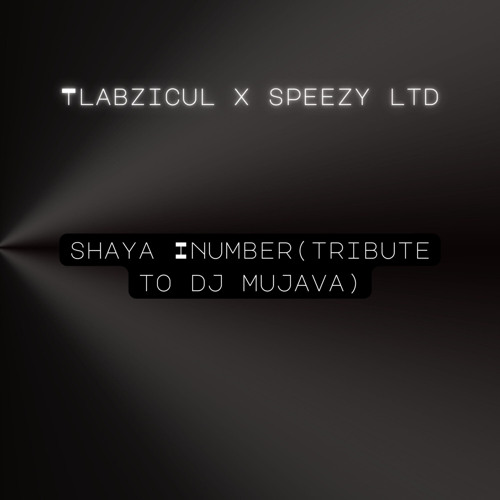 Stream Shaya Inumber (Tribute to Dj Mujava) by Tlabzicul | Listen ...