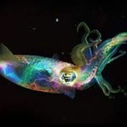 Stream Squid Sessions Vol 1 2023 W Slap Chop By Djsquid Listen