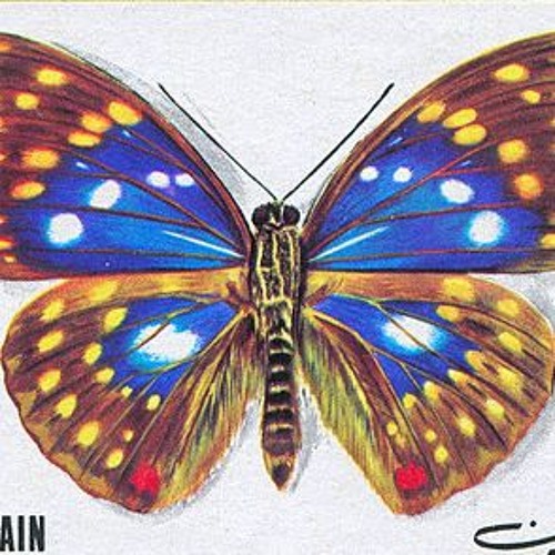 Stream ##ftg by fly | Listen online for free on SoundCloud