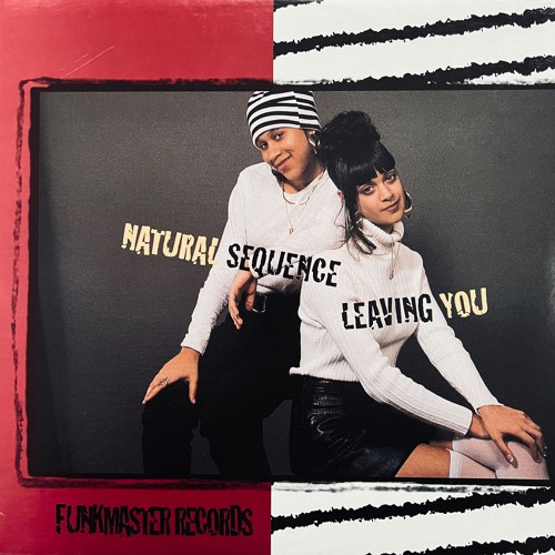 Stream Natural Sequence & MC Master Dee – Leaving You (12" Main Mix ...