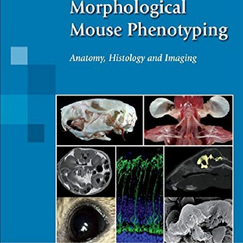 Stream [DOWNLOAD]⚡ Morphological Mouse Phenotyping: Anatomy, Histology ...