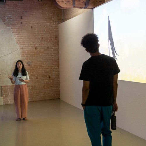 Stream Sakina: focus sull'opera di Edith Dekyndt by Palazzo Grassi ...