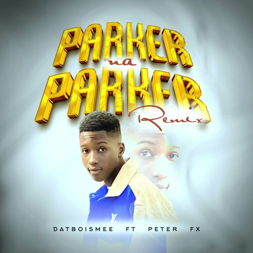 Stream Parker Na Parker (Remix) [feat. Peter fx] by Datboismee | Listen ...
