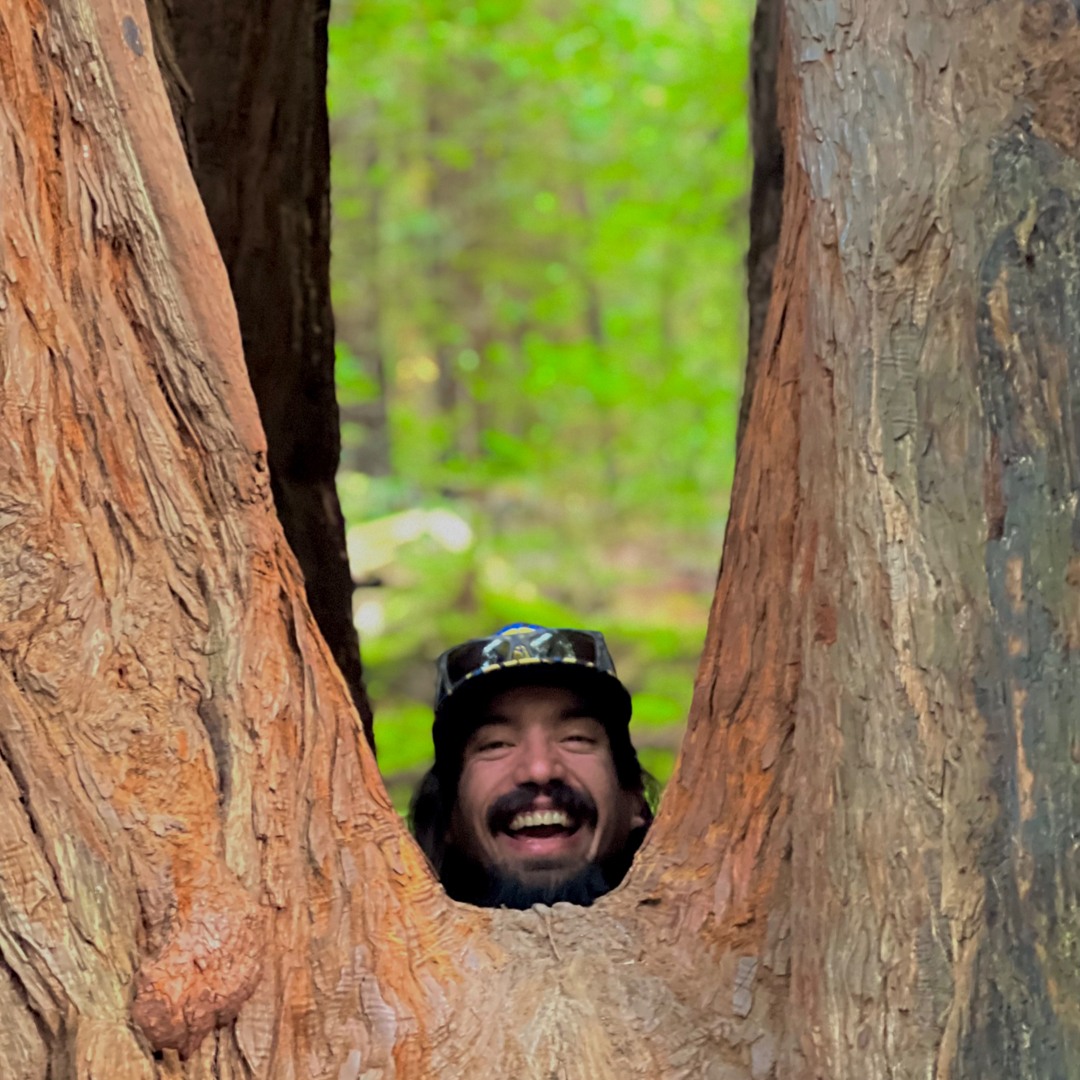 Stream The glass is half, fool by MASSIVISH | Listen online for free on ...