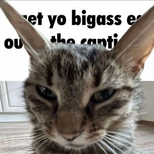 Stream Sparta Peppermint Base CWE by chronowave | Listen online for ...