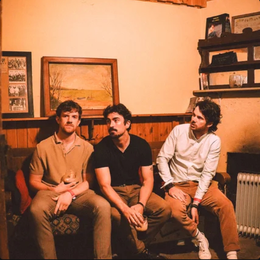 Stream Bug - Fontaines DC (Amble cover) by Cillian Hickey | Listen ...