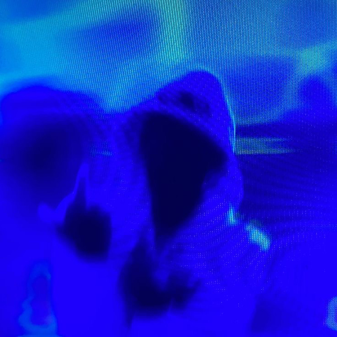 Stream RTB Tyga - Do What’s Best by RTB Tyga (@imrtbtyga) | Listen ...