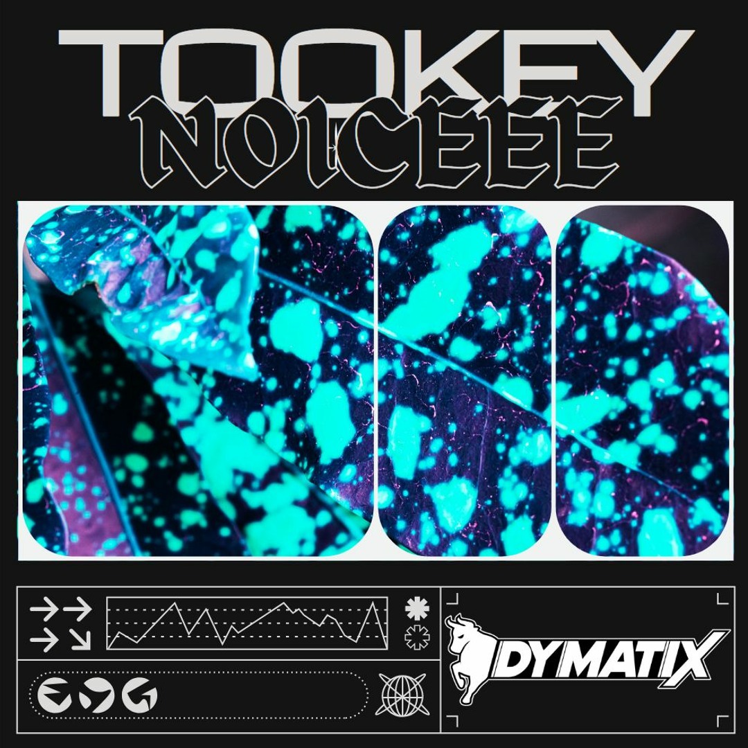 Stream TOOKEY - NOICEEE (FREE DOWLOAD) by Dymatix records | Listen ...
