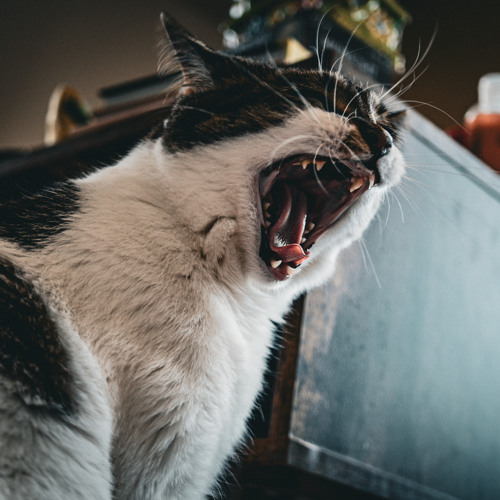 Stream Reckless Railways by momobingy | Listen online for free on ...